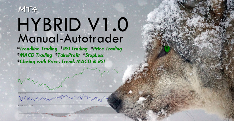 HYBRID - MANUAL AUTOMATED TRADING EA FOR MT4